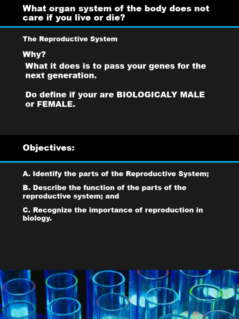 Reproductive System | PDF | Ovary | Reproductive System
