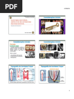 Anatomia Interna do Dente 46 | PDF | Dente humano | Áreas da odontologia