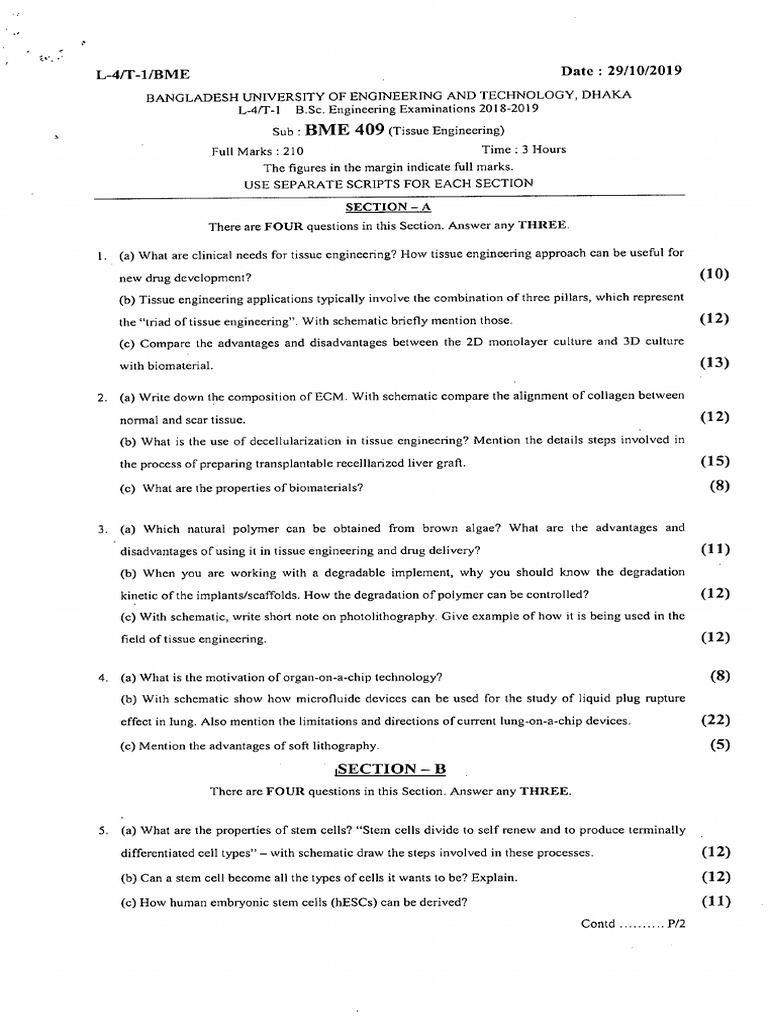 Bme 409 Q | PDF | Tissue Engineering | Stem Cell