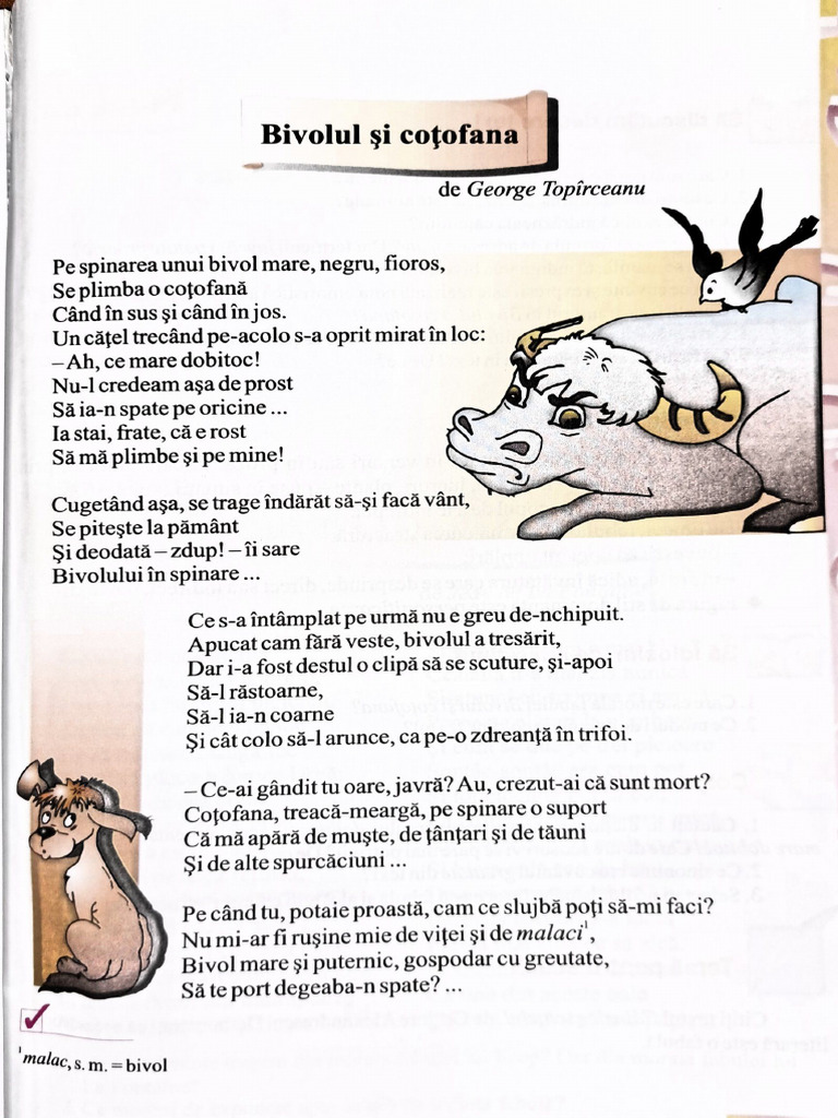 Bivolul Și Coțofana | PDF