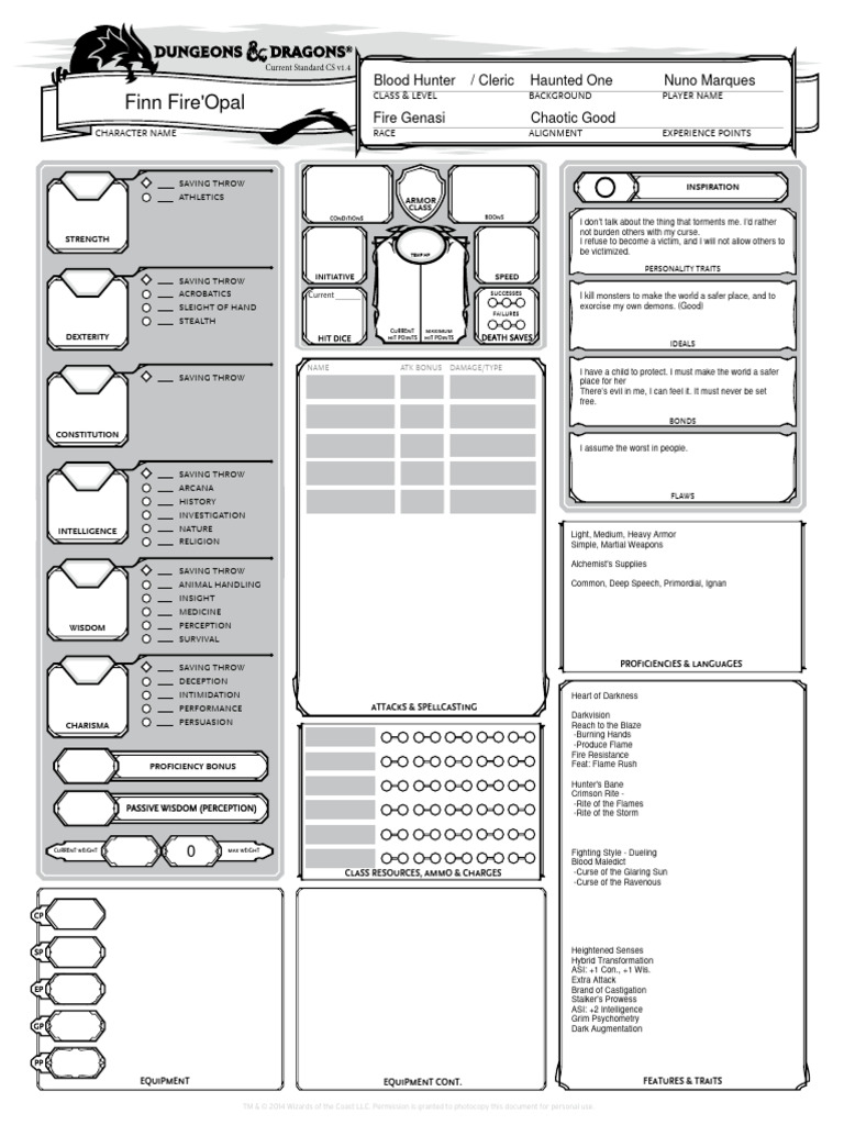 Finn (Blank) | PDF | Role Playing Games | Gaming