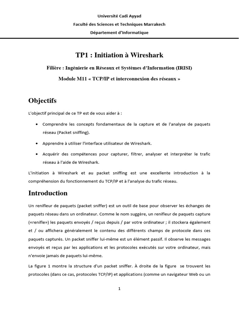 TP1: Initiation À Wireshark | PDF
