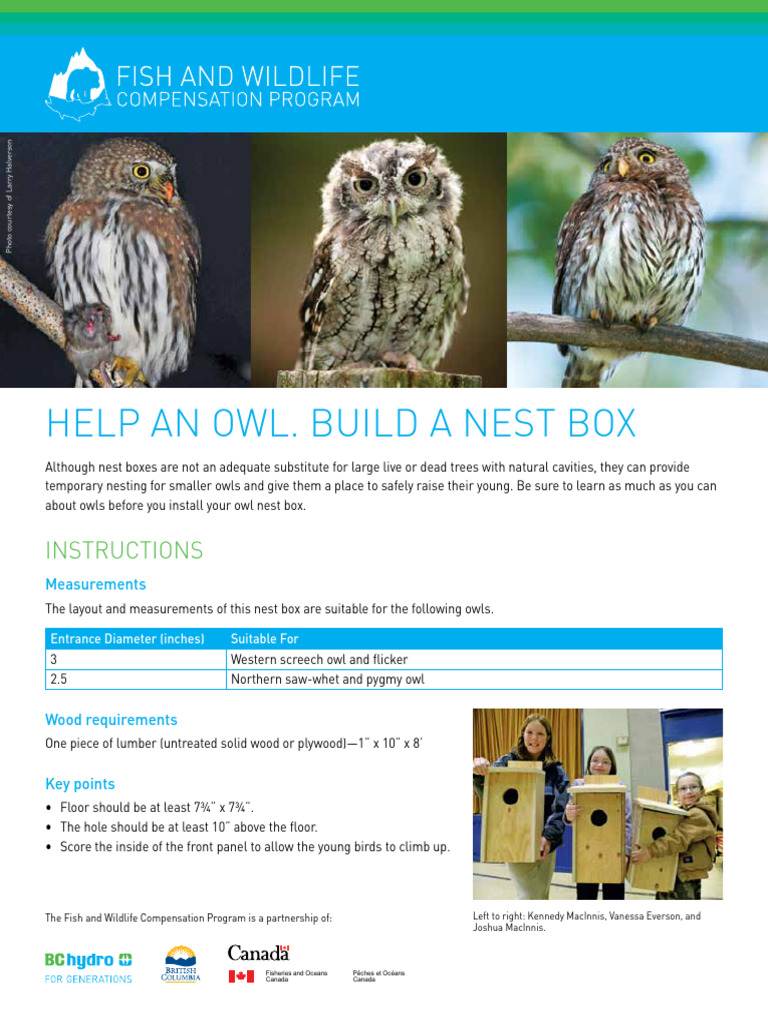 FWCP Owl Nest Box Plans | PDF | Birds