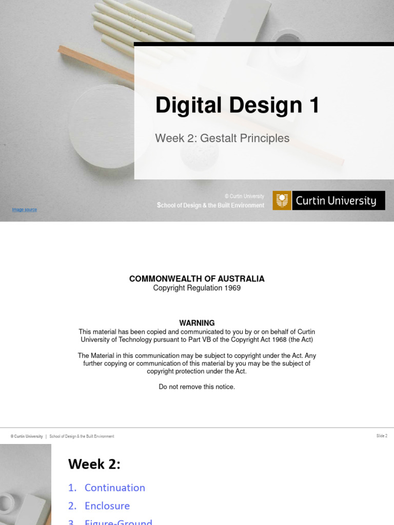 DD1 Week2 | PDF | Perception | Behavioural Sciences