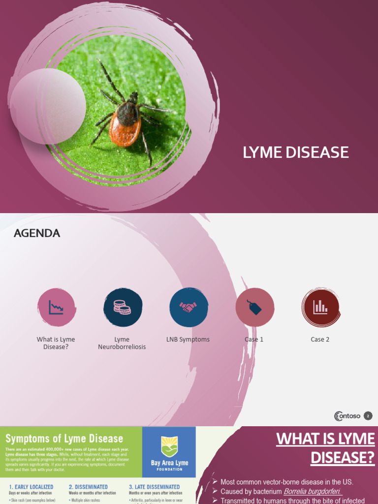 LYME DISEASE | PDF