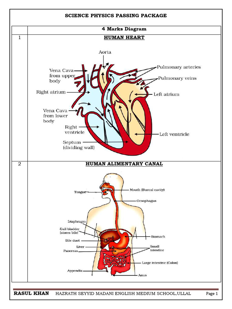 Science Passing - Biology | Download Free PDF | Evolution | Cellular ...