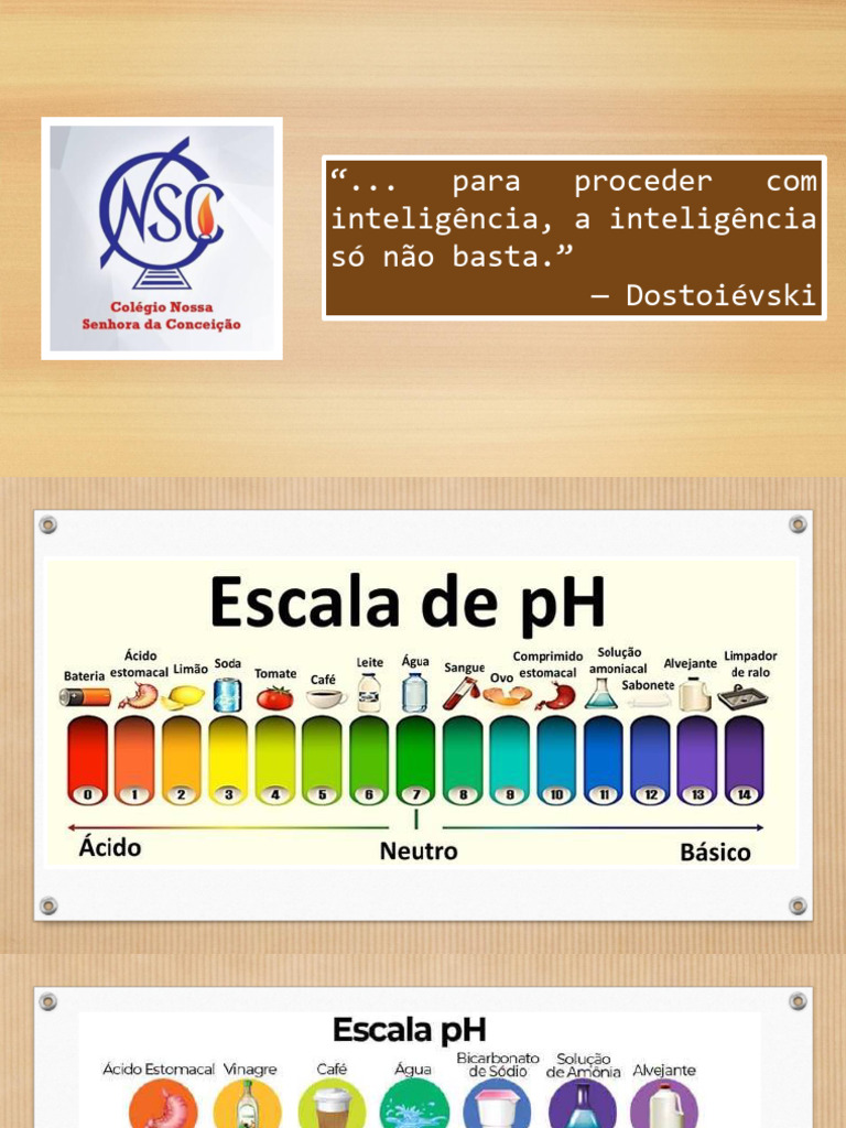 NSC - 9 - PH e Poh | PDF