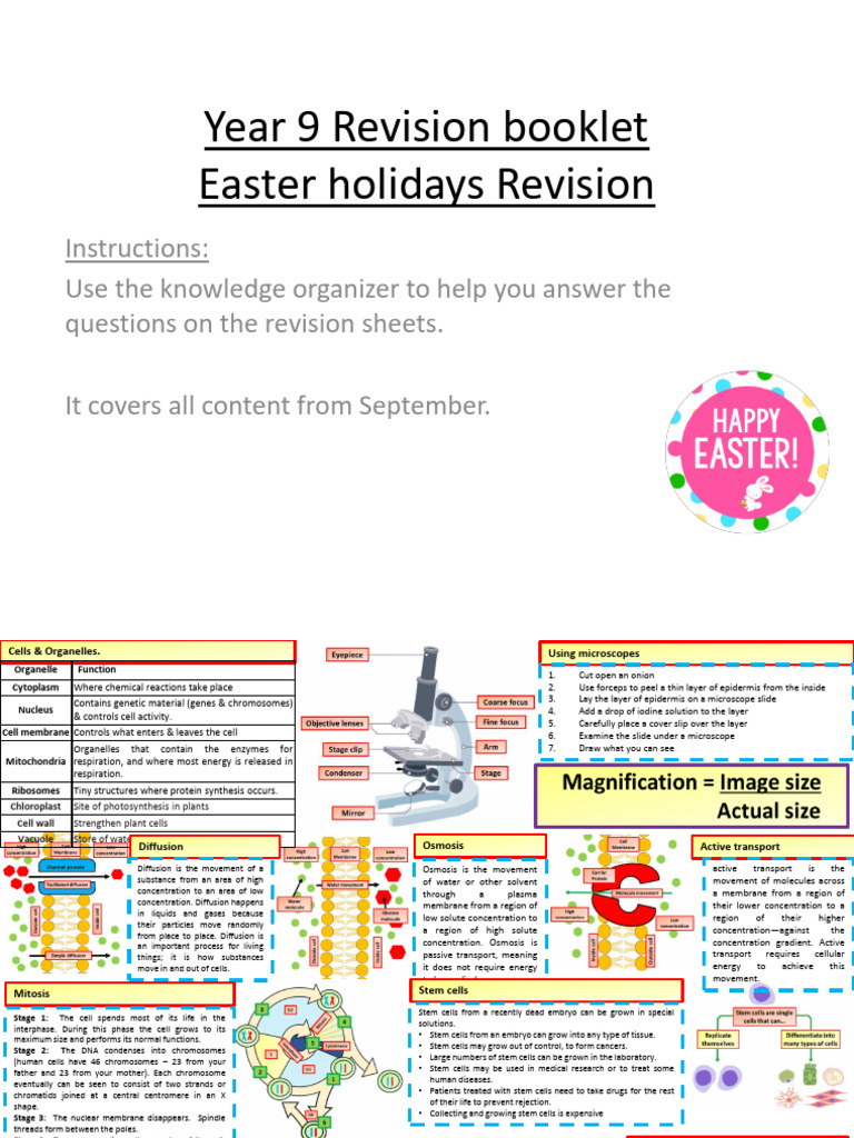 Year 9 Revision Booklet | PDF | Artery | Cell (Biology)