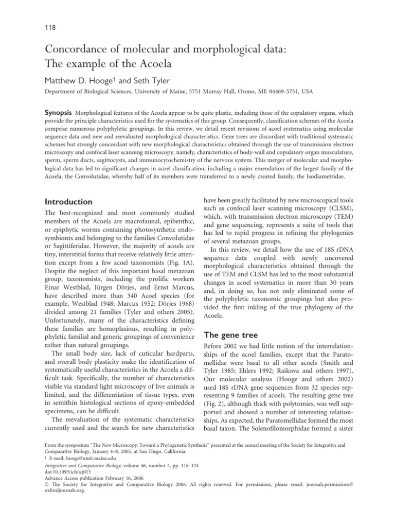 Hooge & Tyler 2006 Acoela | PDF | Microscope | Taxonomy (Biology)