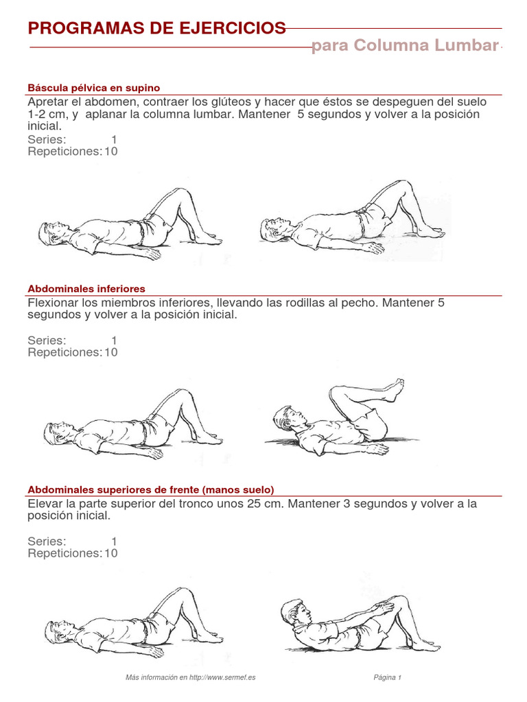 Ejercicios Columna Lumbar | PDF | Pelvis | La columna vertebral