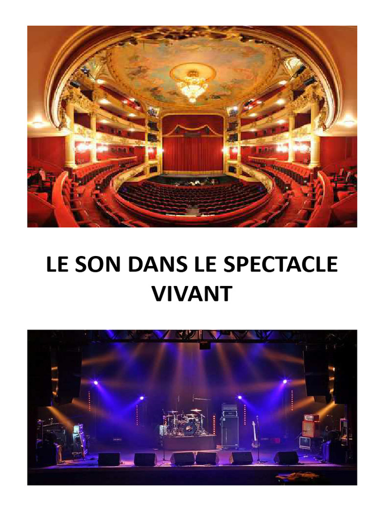 Le Son Dans Le Spectacle Vivant (01.2021) | PDF