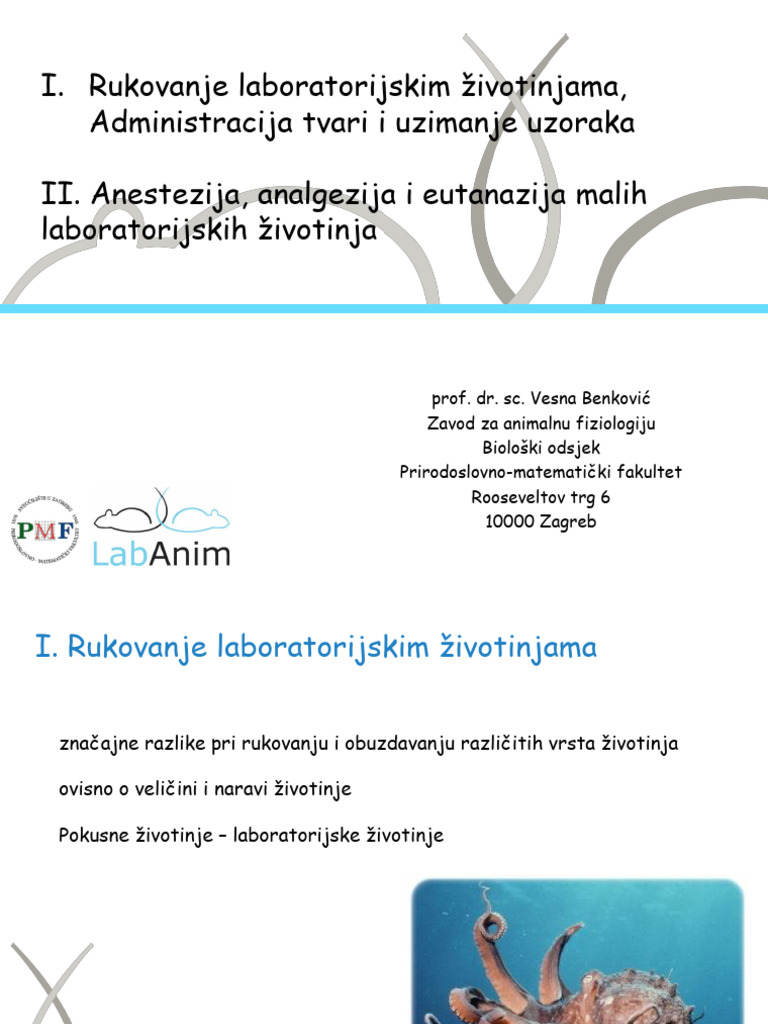 Rukovanje Lab. Životinjama, Administracija Tvari I Uzimanje Uzoraka | PDF