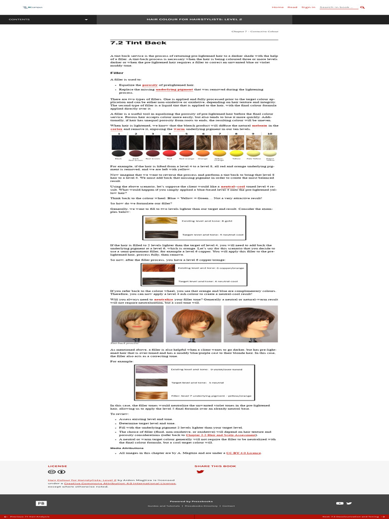 7.2 Tint Back - Hair Colour For Hairstylists: Level 2 | PDF | Hair | Color
