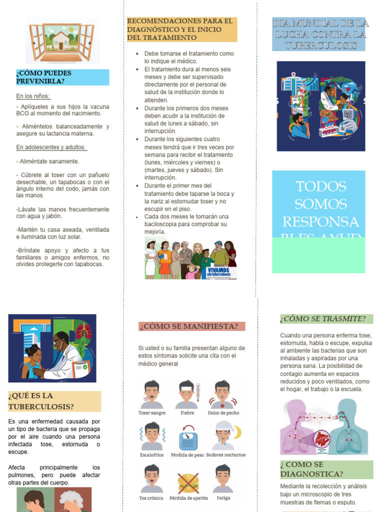 Folleto Tuberculosis 2024 - 1 | Descargar gratis PDF | Tuberculosis ...