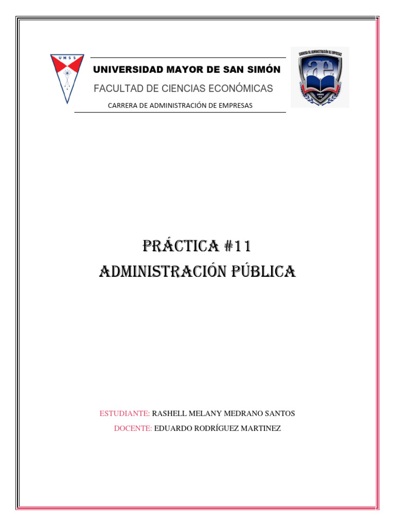Práctica-11 Adm. Pub | PDF | Finanzas y dinero
