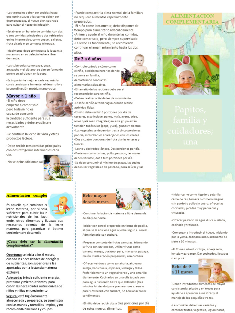 Folleto Alimentacion Complementaria | PDF | Alimentos | Amamantamiento