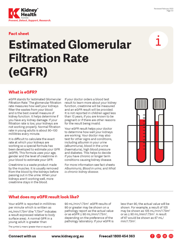 KHA Factsheet eGFR 2023 | PDF | Chronic Kidney Disease | Medical ...