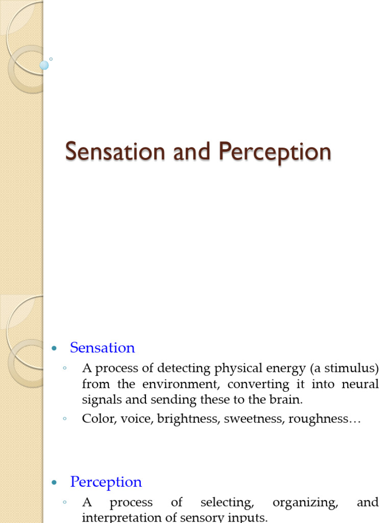 Sensation and Perception - 2016 | PDF | Senses | Perception