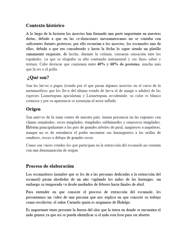 Historia y Extracción de Escamoles | PDF | Hormiga | Insectos