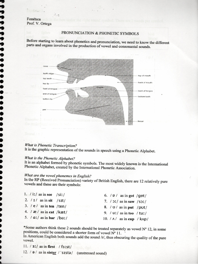 libro de fonetica | PDF