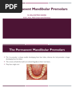 Permanent Mandibular 2nd Premolar | PDF | Dental Anatomy | Dentistry