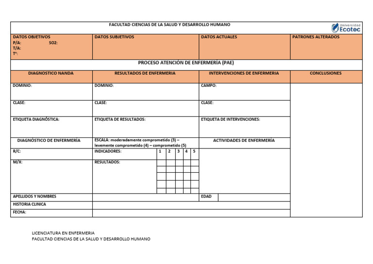 Pae (Proceso Atencion Enfermero Plantilla) | PDF