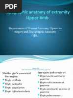 Triangular Space - Borders - Contents - TeachMeAnatomy | PDF