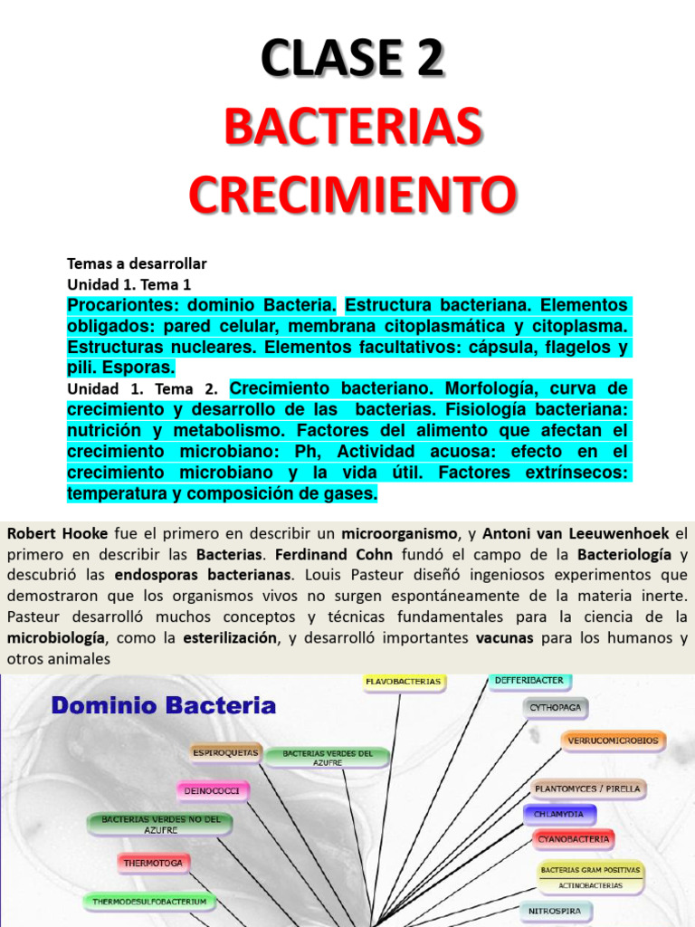 Clase 2 Unidad 1 Bacterias | PDF | Las bacterias | Bacterias Gram-negativo