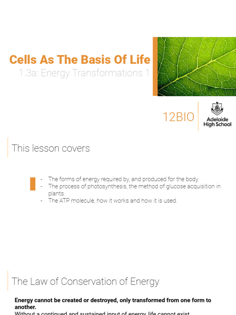 1.3a Energy Transformations 1 12BIO | PDF | Photosynthesis | Adenosine ...