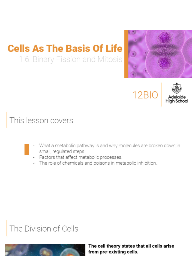 1.6 Binary Fission and Mitosis | PDF | Mitosis | Cell (Biology)