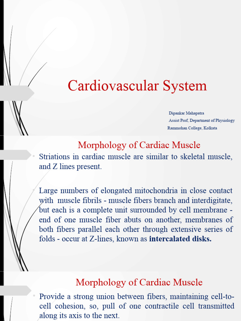 CVS DM | Download Free PDF | Cardiac Muscle | Action Potential