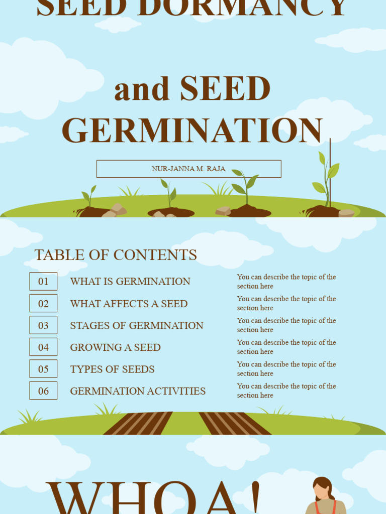 Seed Dormancy | PDF | Planets | Mercury (Planet)