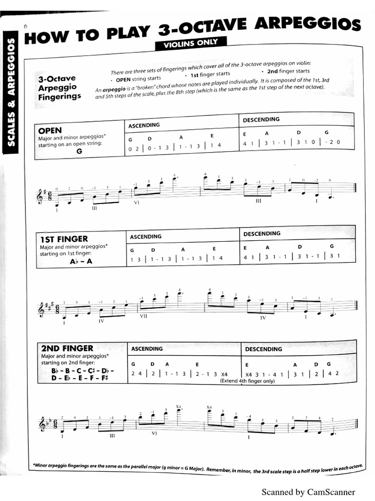 Violin-Advanced-Technique | PDF