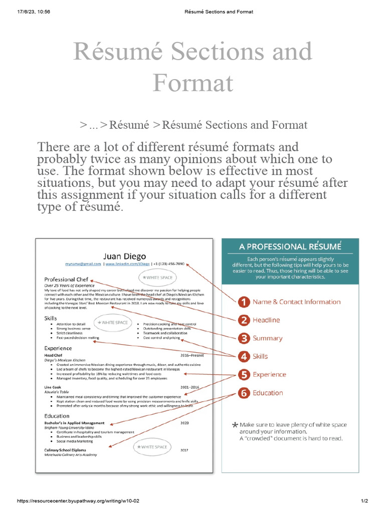 Résumé Sections and Format | PDF