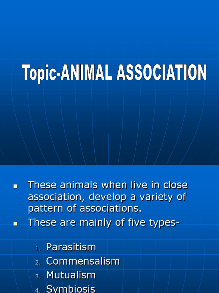 Animal Association | PDF