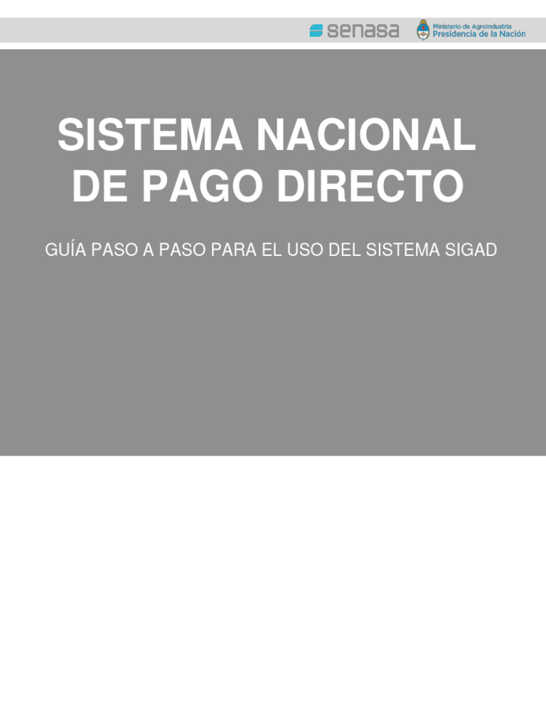 Instructivo Sistema Nacional de Pago Directo-Sigad 01-02-2 | PDF | Red ...