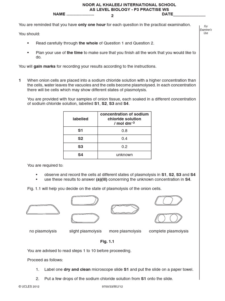 Prac 3 | PDF | Concentration | Sodium