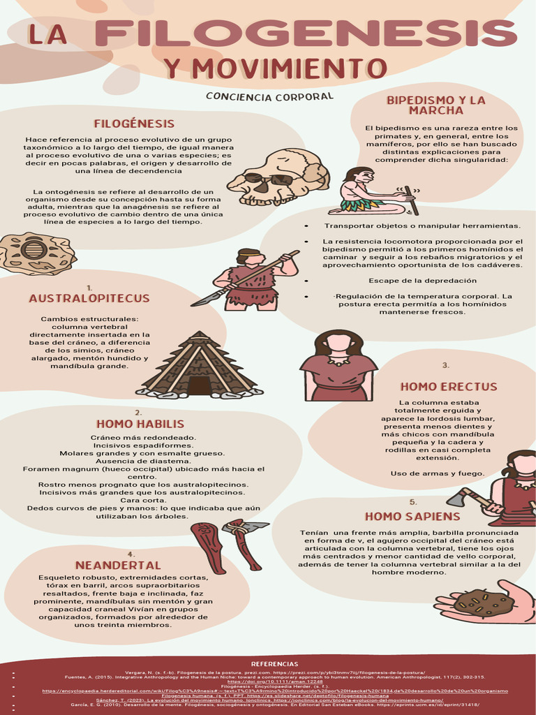 Filogenesis | PDF | Bipedalismo | Homo