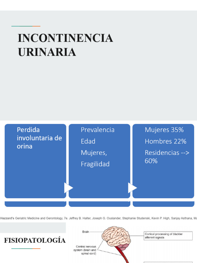 Incontinencia Urinaria-3 | PDF | Micción | Medicina CLINICA