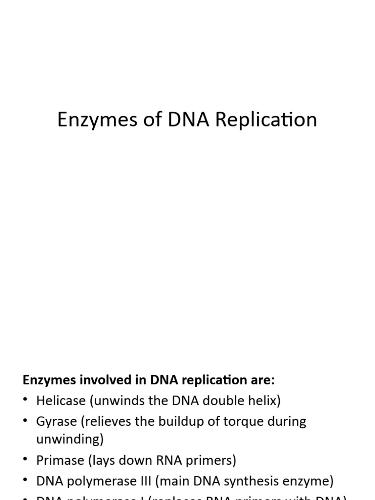Enzymes of Dna Replication | PDF | Dna Replication | Dna