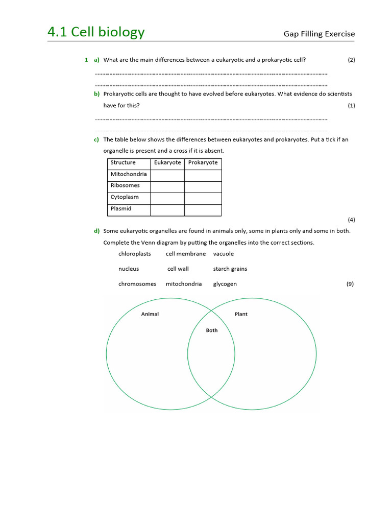 4.1 Cell Biology Exercise | PDF