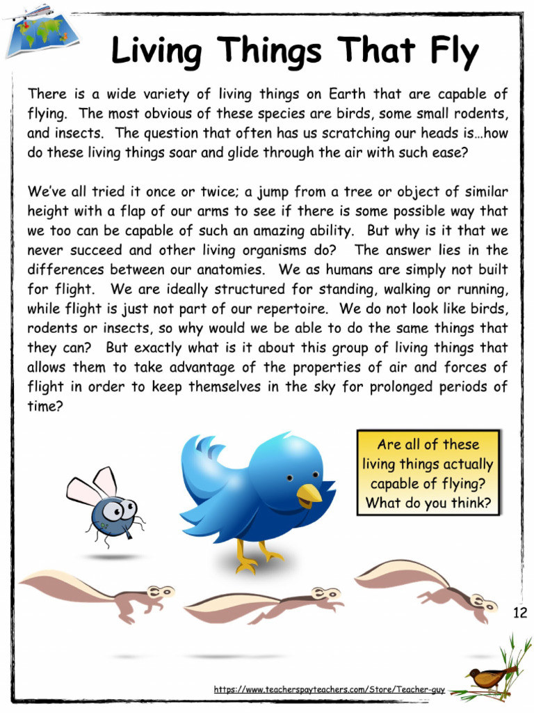 Lesson 4 - Living and Non-Living Things That Fly | PDF