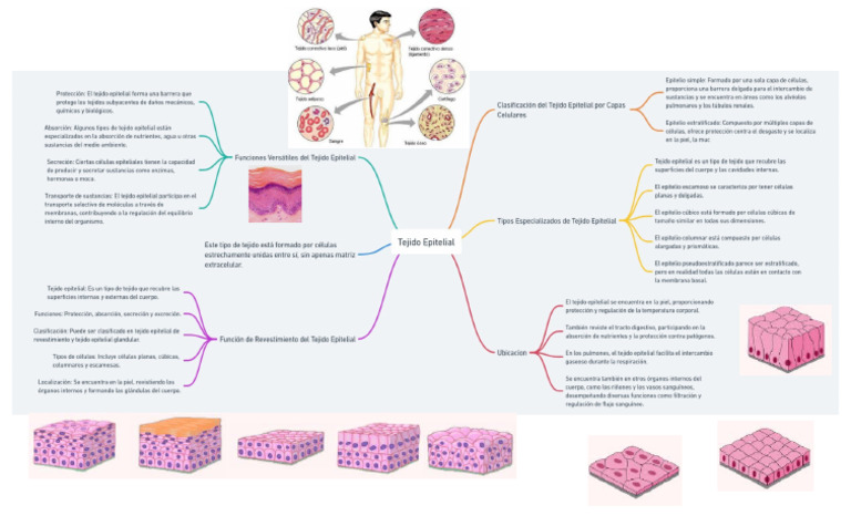 Primer Mapamental Primer Estilo | PDF