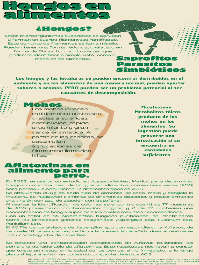 Infografía Hongos Alimentos | PDF