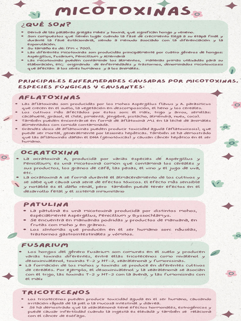 Infografía Micotoxinas | PDF