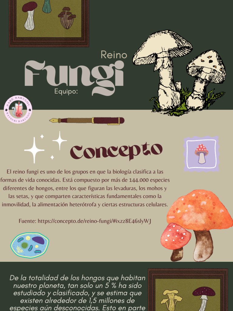 Reino fungi Presentation_20230922paru_hoshino_0000 | PDF | Hongo | Espora