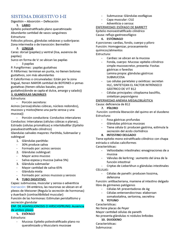 Resumen Histo 3 | PDF