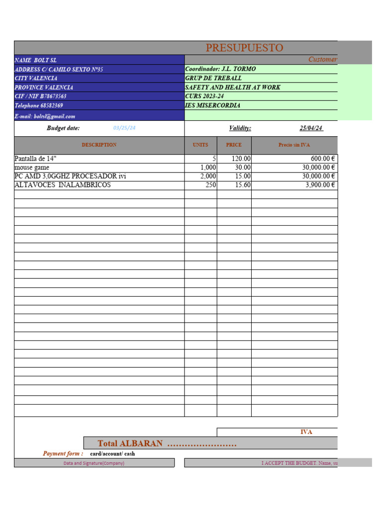 Budget and Invoice for BOLT SL Services | PDF