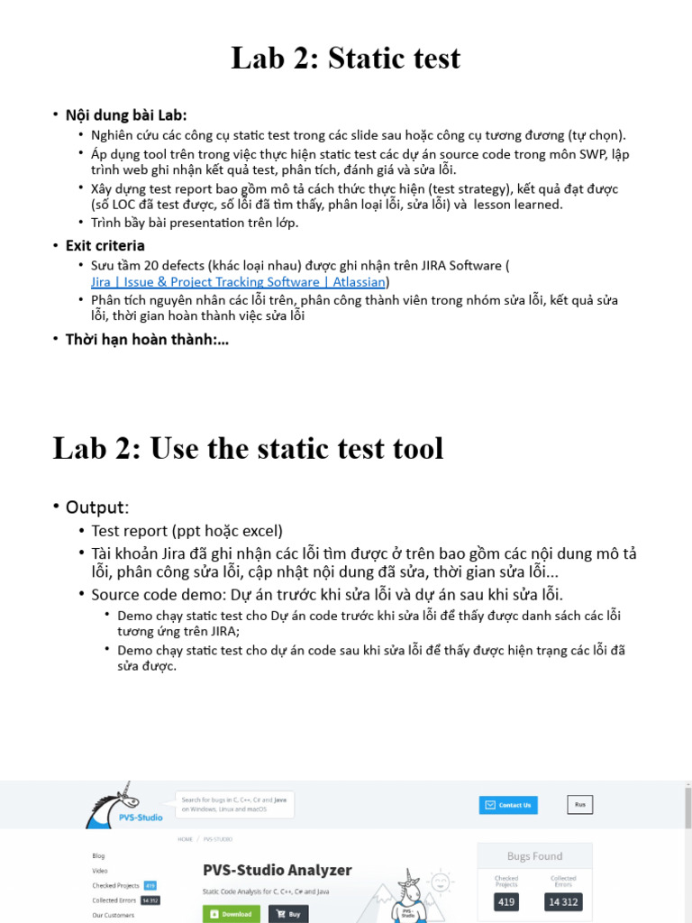 SWT Lab 2 Static Analyst 2023spr | PDF