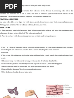 Laboratory Practice Observation of Onion Cells | PDF | Cell (Biology ...